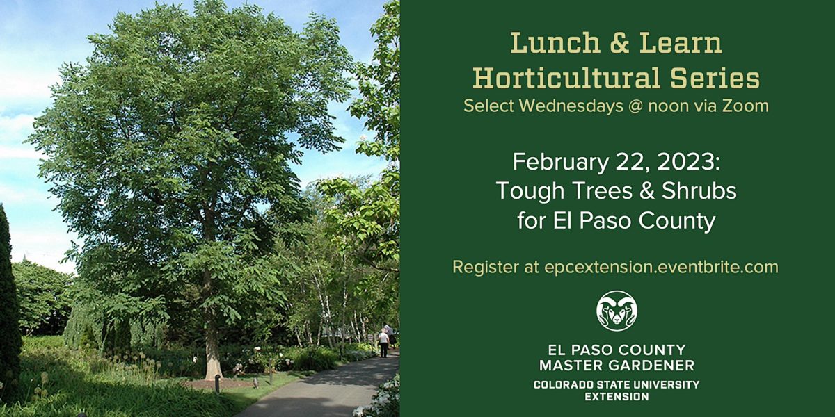 Tough Trees and Shrubs for El Paso County – KRDO13 Events