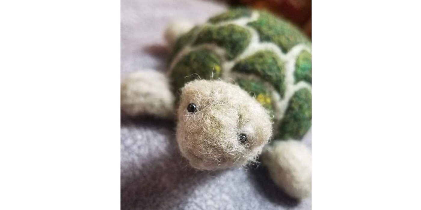 Needle Felted Turtle – KRDO13 Events